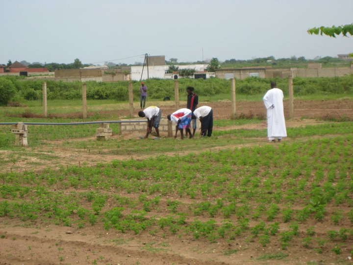 We Do Not Realize The Massive Assets We Have Locally; The Hidden ...